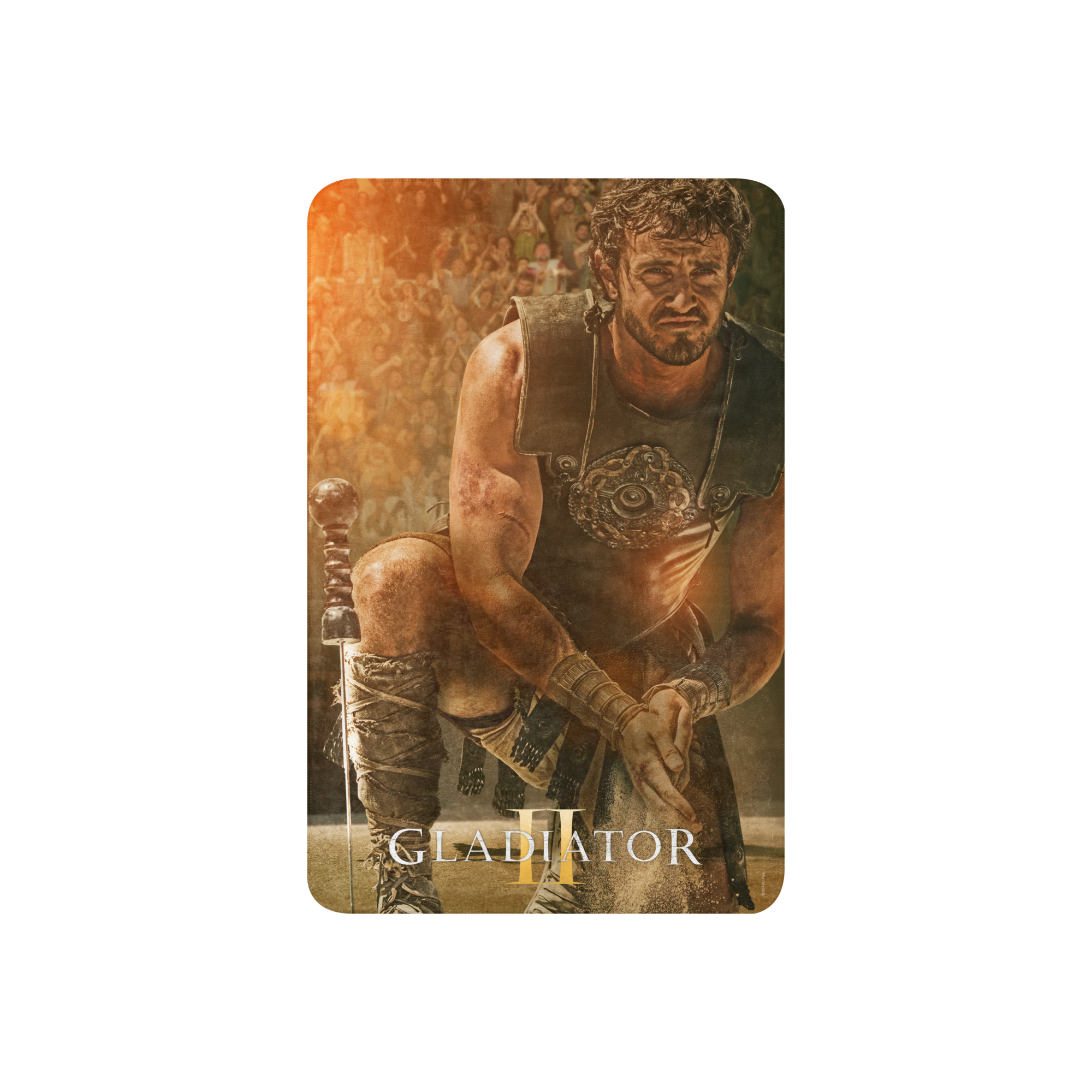 Gladiator II Lucius Sherpa Blanket | Soft Epic Movie Throw – Fandango ...